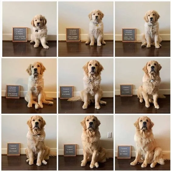 Photo Series Ideas | Top 10 Ideas For Your Inspiration In 2025