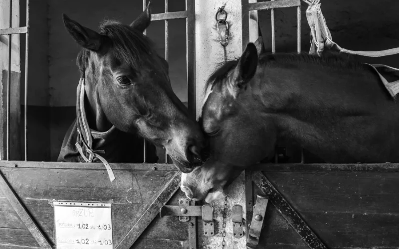 Photo Series Ideas | Top 10 Ideas For Your Inspiration In 2025