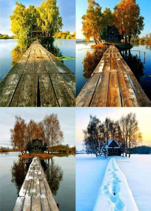 Photo Series Ideas | Top 10 Ideas For Your Inspiration In 2025